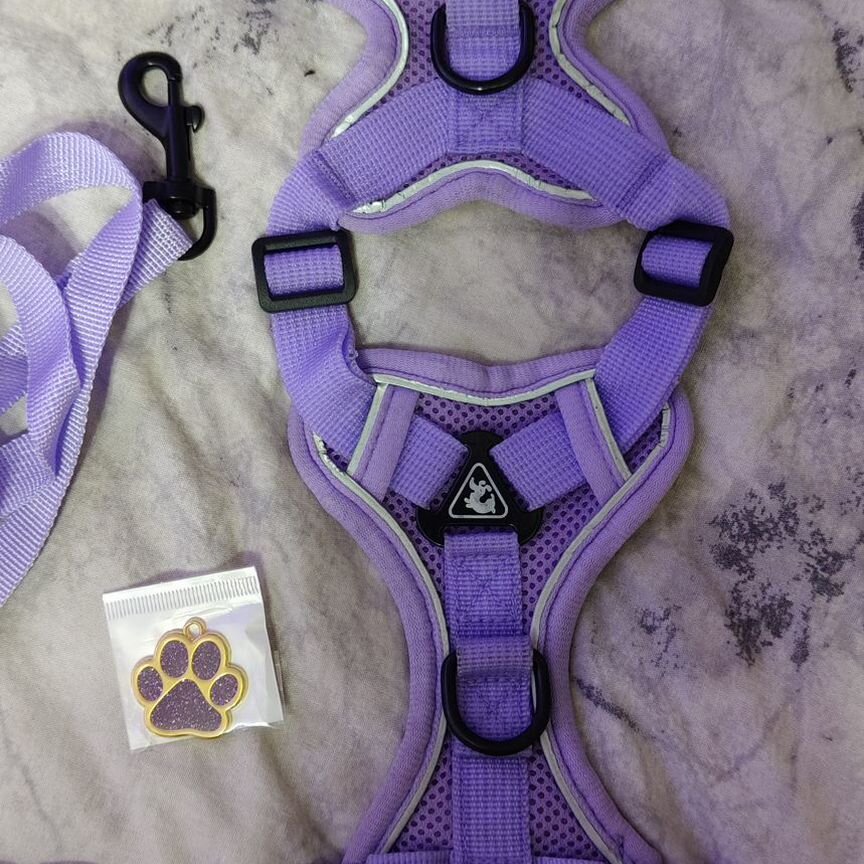 Шлейка и поводок для собак