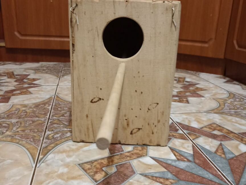 Гнезно для средних попугаев