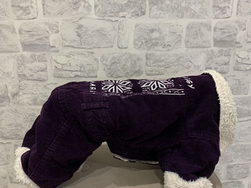 Комбенизон для собаки