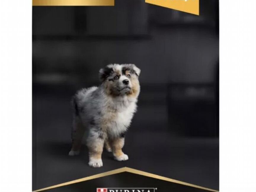 Корм для собак сухой pro plan mediup puppy