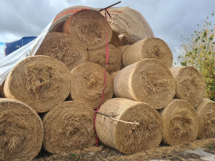 Солома в тюках