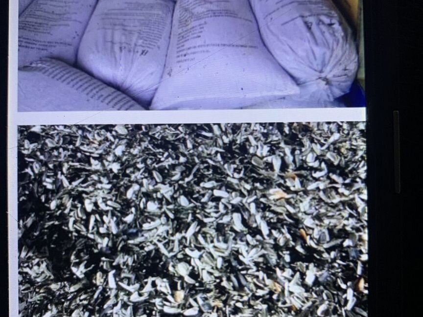 Лузга, шелуха подсолнечника