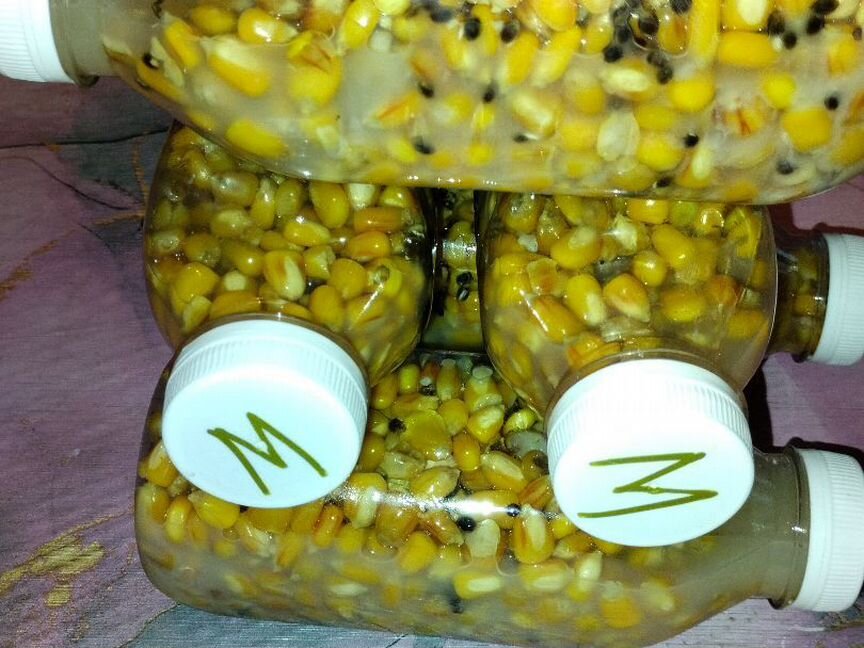 Кукуруза зерно