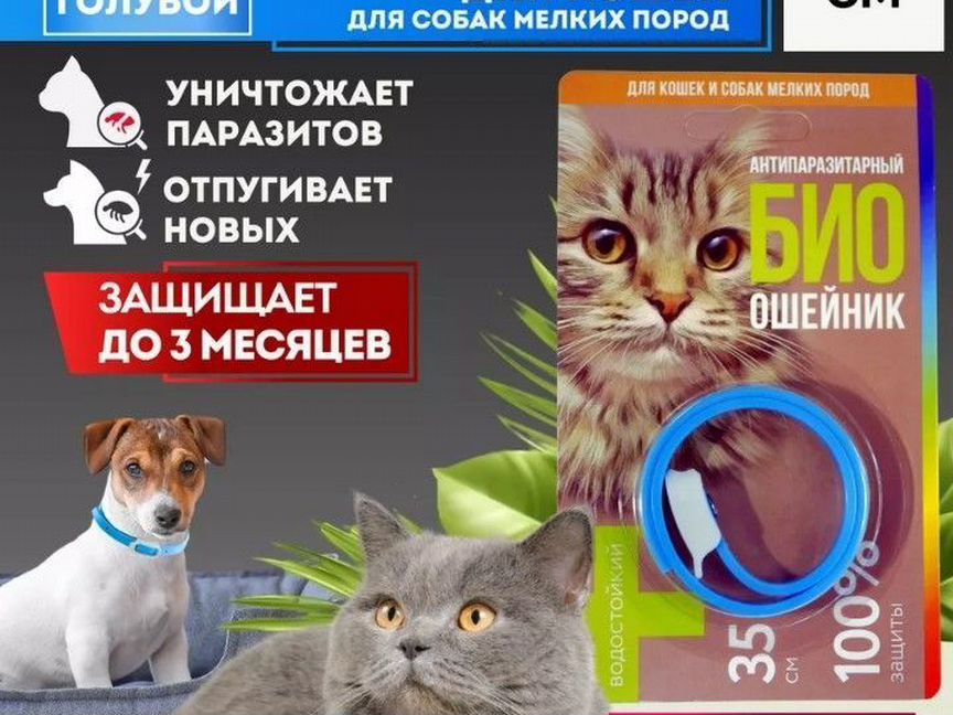 Био ошейник для кошек