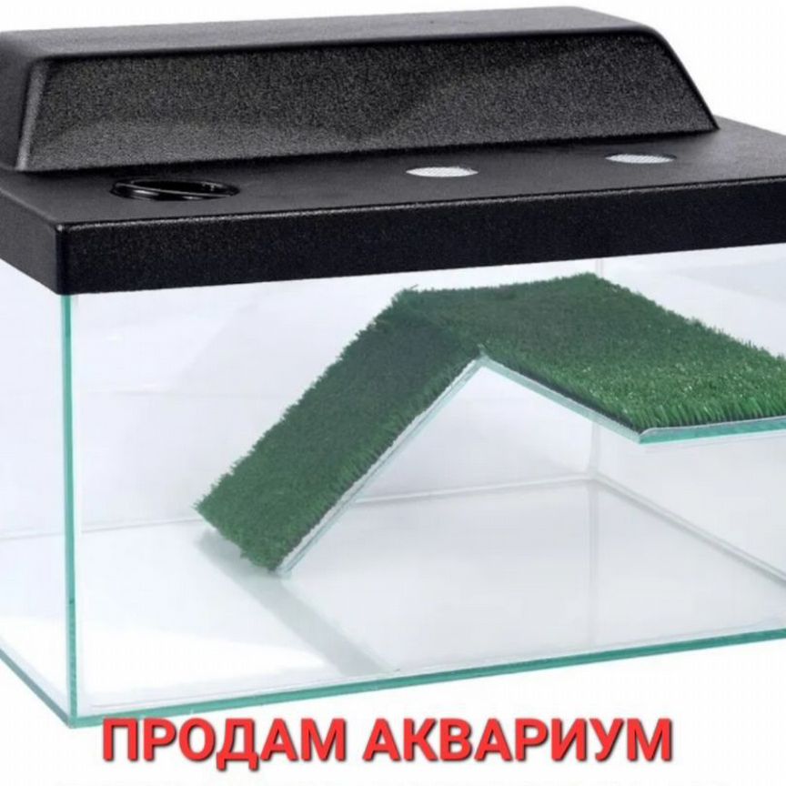 Аквариум