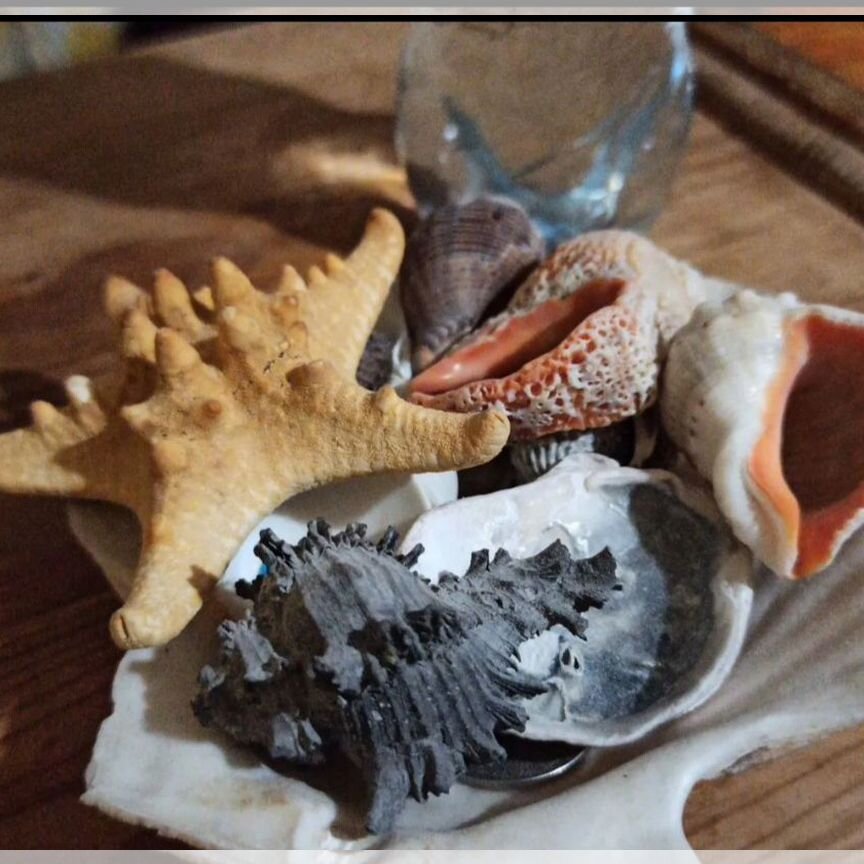 Всякое разное для аквариума