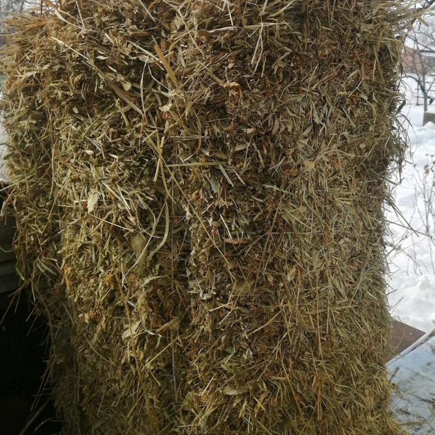 Сено луговое в тюках