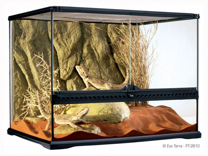 Набор Exo Terra Террарим 604545см