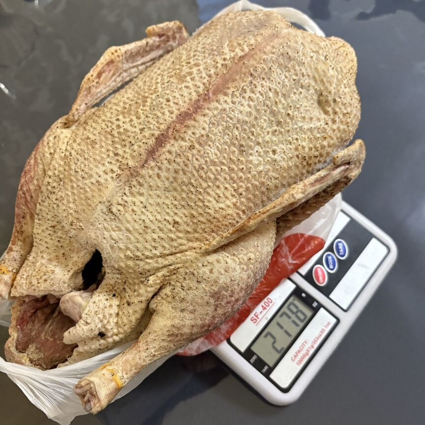 Утка домашняя