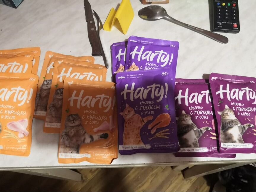 Кошачий корм влажный