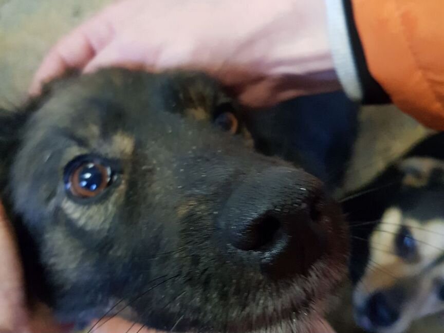 Улыбчивая лучезарная фея ищет дом