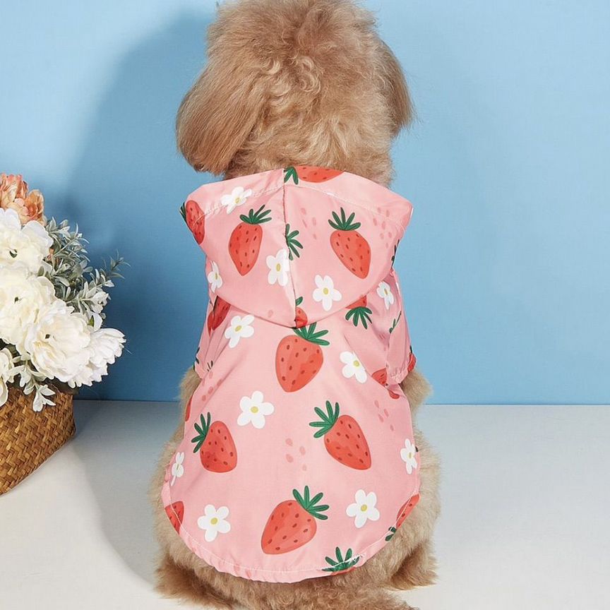 Дождевик собачий