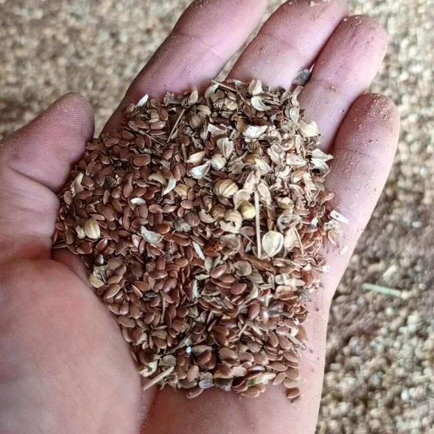 Продам отходы льна