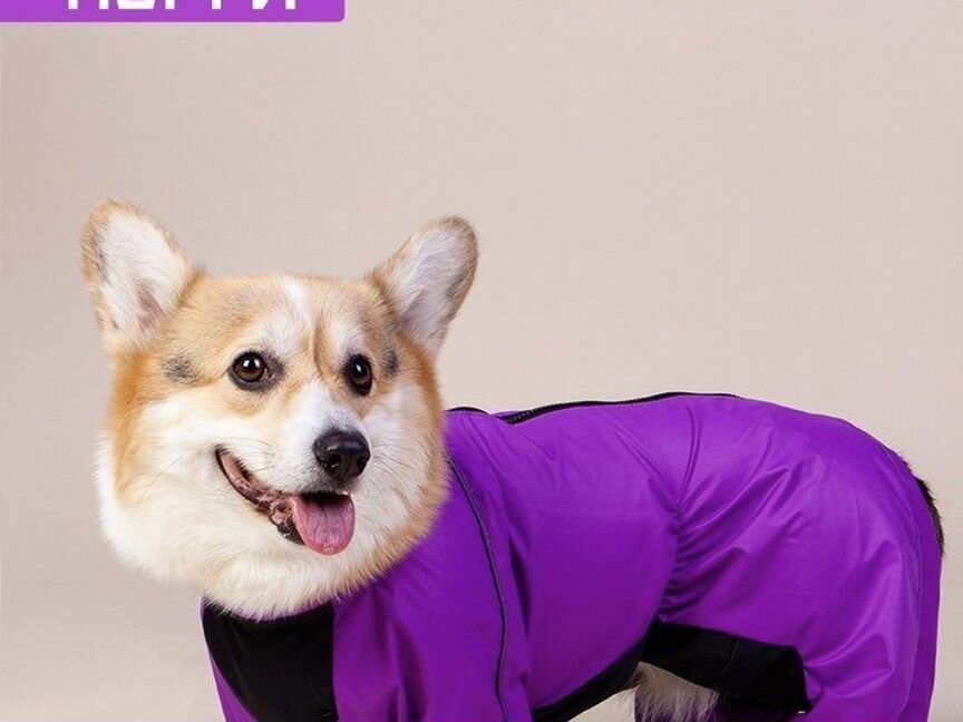 Дождевик для корги