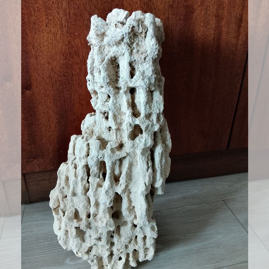 Искусственный коралл