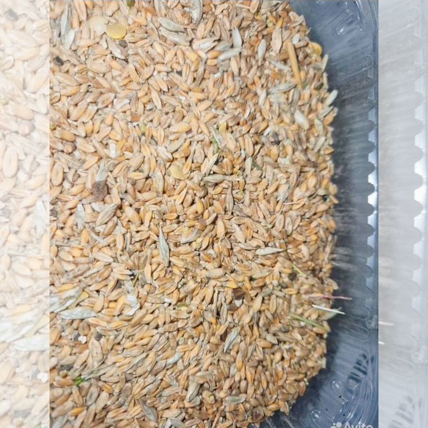 Продам зерно отходы, частично с горохом