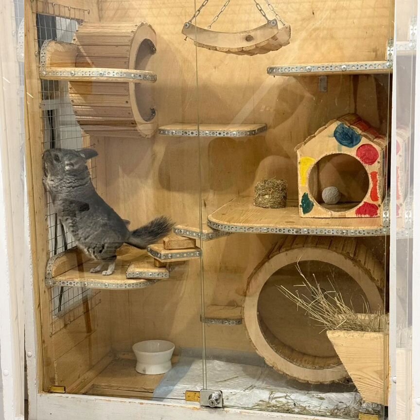 Витрина для шиншилл бу