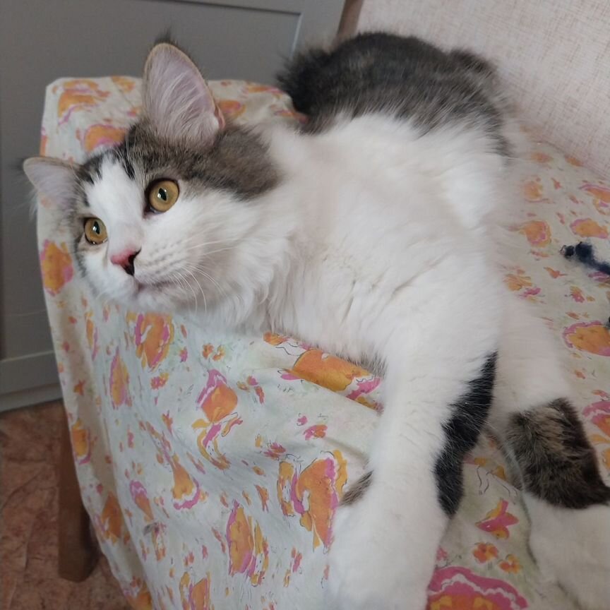 Малыш (7 месяцев)