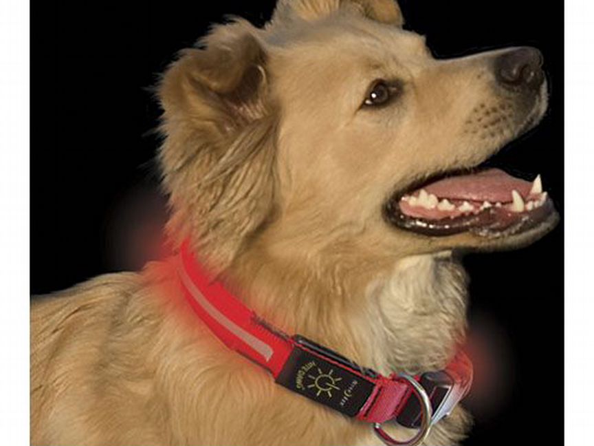 Ошейник светодиодный Led Dog Collar