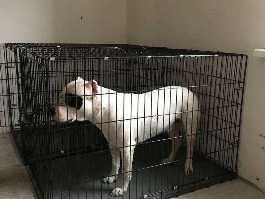 Металлические клетки для собак. Вальеры. Заборы