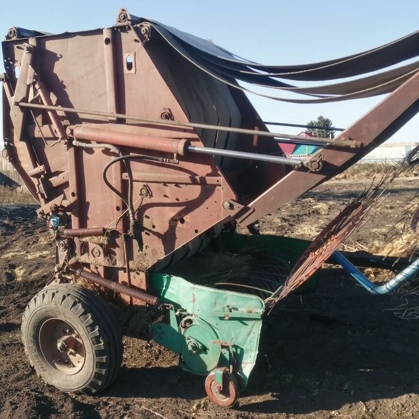 Корма для животных