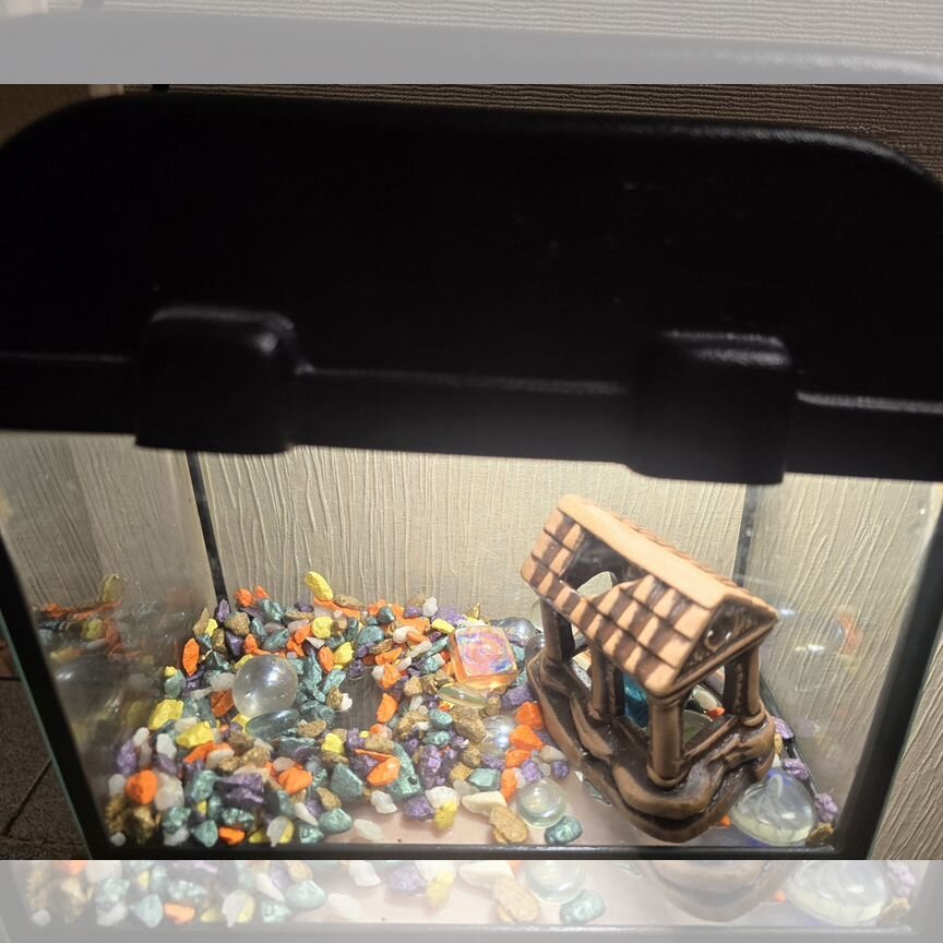 Аквариум маленький с подсветкой