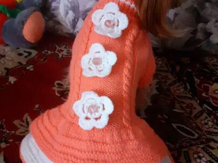 Одежда для питомцев