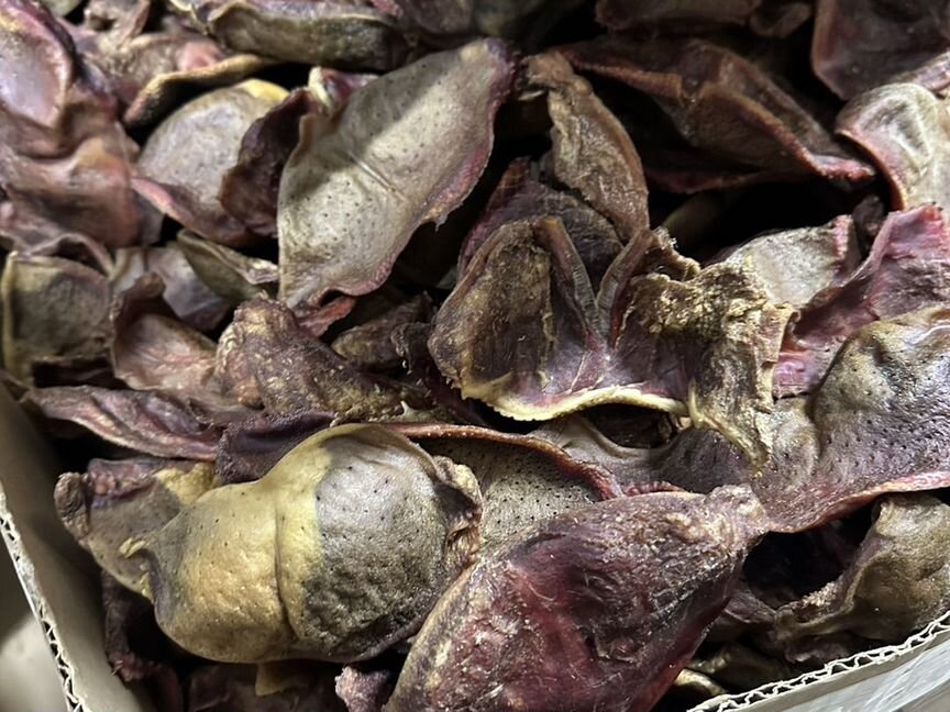 Сушеный говяжий нос/губы для собак