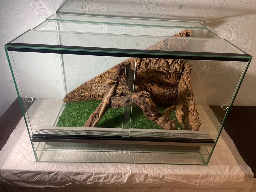 Террариум для рептилий