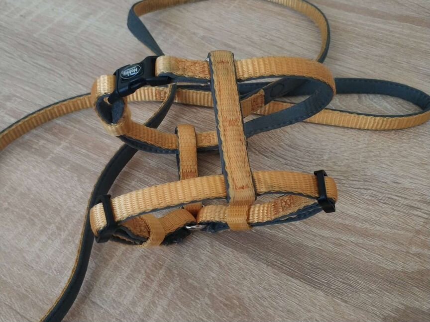 Шлейка + поводок Nobby XS (30-40 см)
