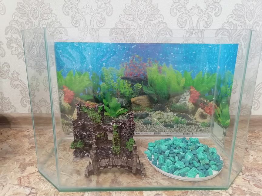 Аквариум