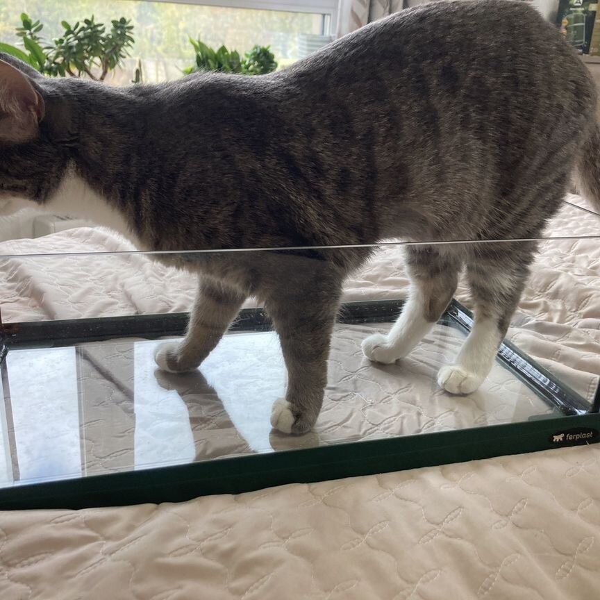 Аквариум Ferplast 22 литра