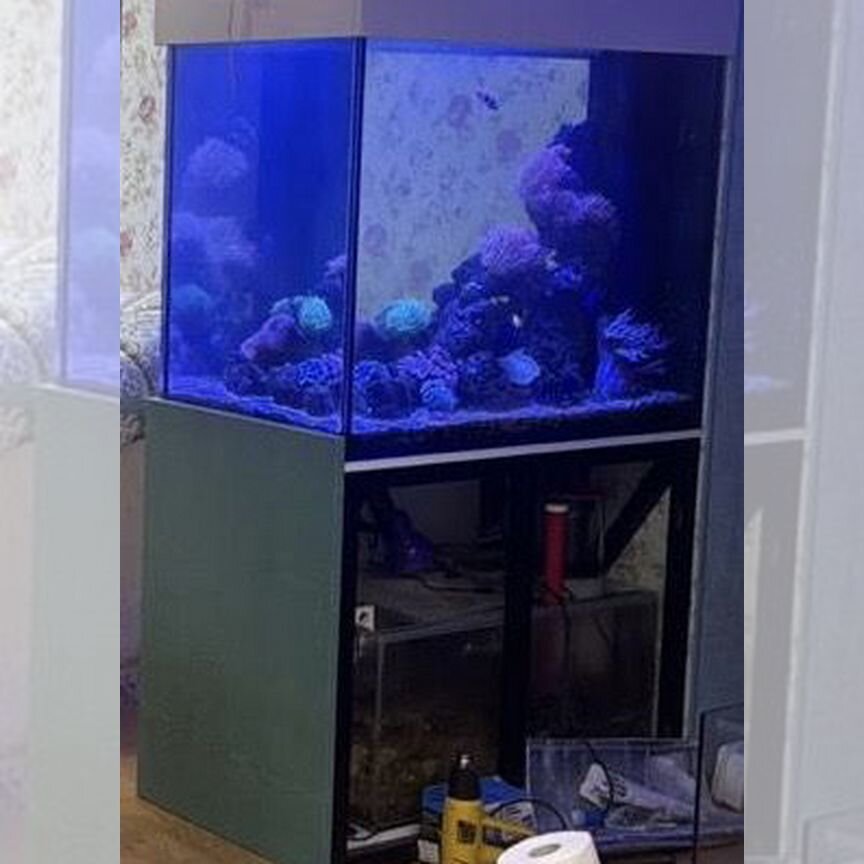 Морской аквариум тумба и самп