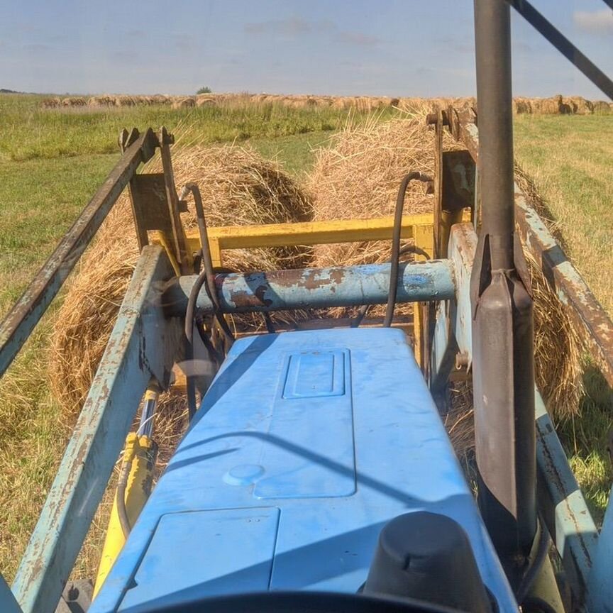 Сено в рулонах с доставкой