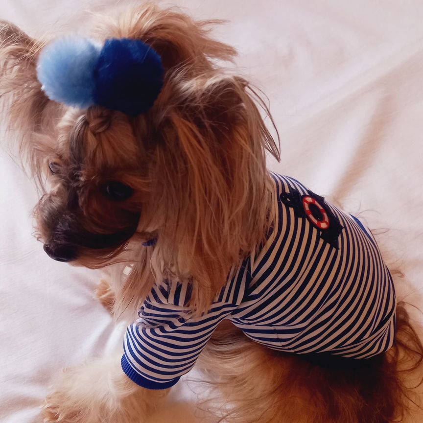 Футболка "Тельняшка" для собак