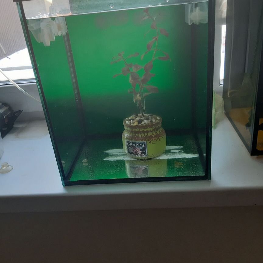 Аквариум кубик