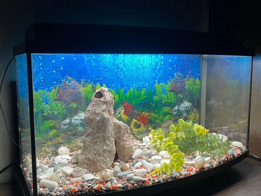 Аквариум