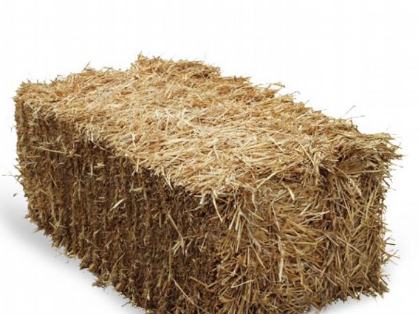 Солома ячменная в тюках