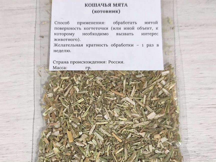 Кошачья мята (котовник)