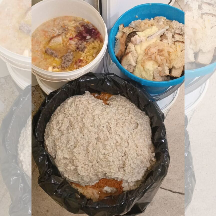 Пищевые отходы для животных