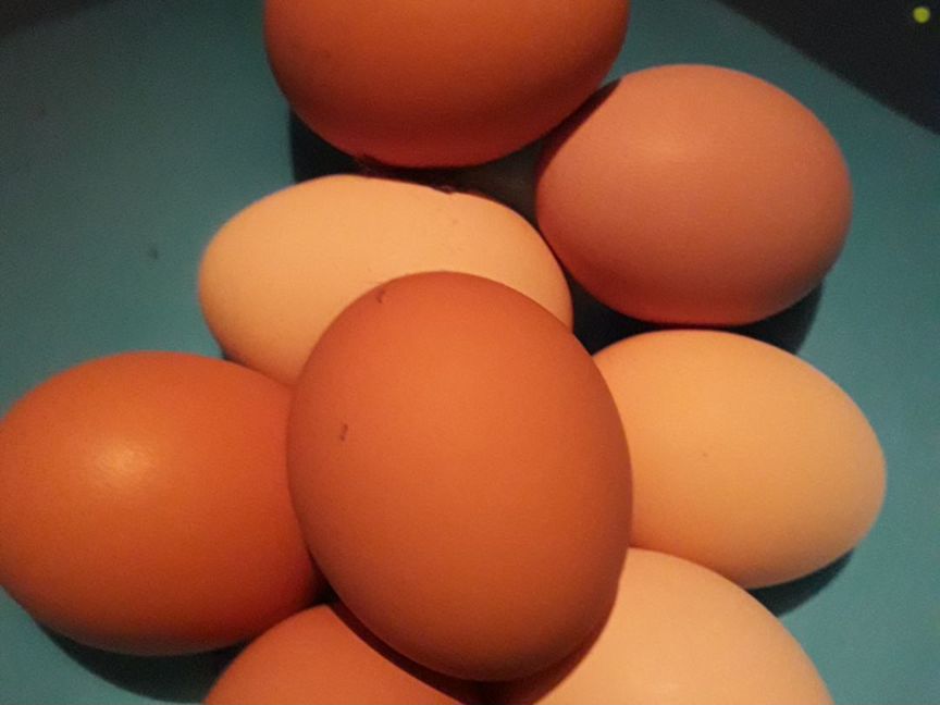 Продаю яйца куриные