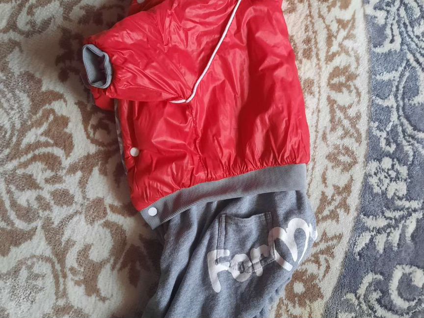 Одежда для маленьких собак