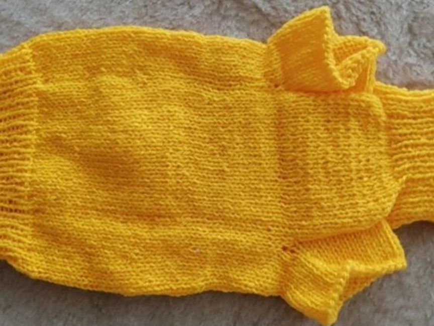 Кофточка для собаки, кошки