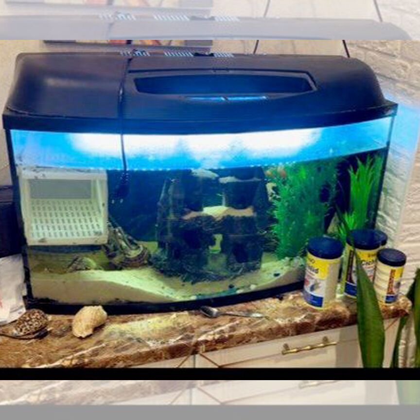 Аквариум 100 литров