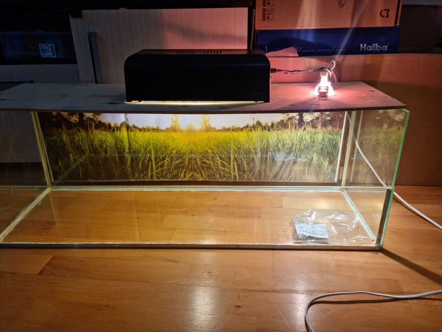 Террариум для сухопутных черепах