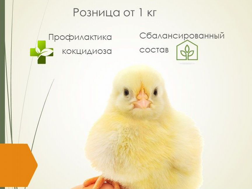 Комбикорм для бройлеров в грануле