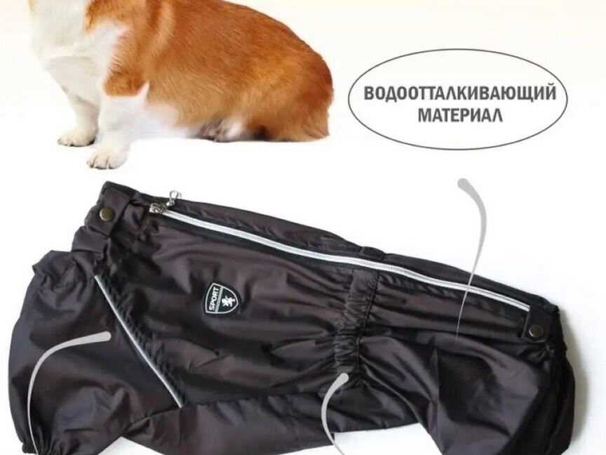Комбинезон дождевик для корги мальчика