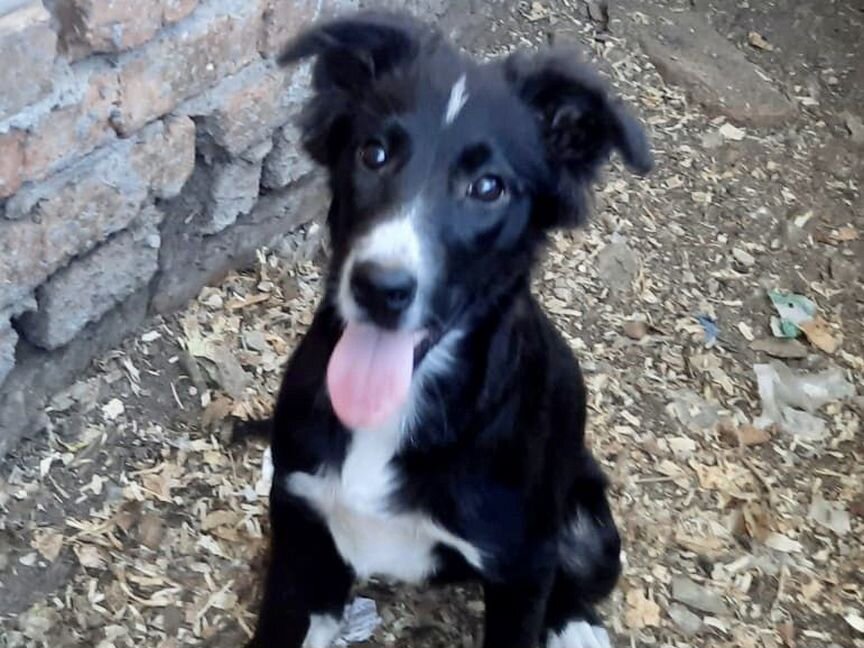 Классная девчоночка в дар