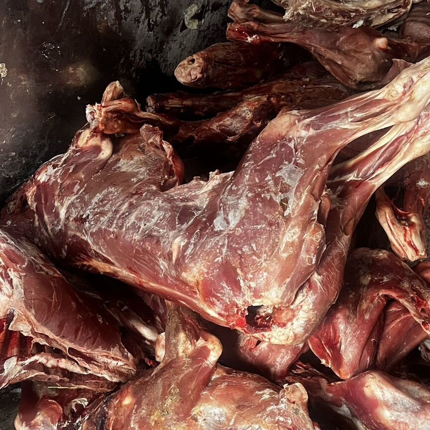 Мясо говядина телятина для собак