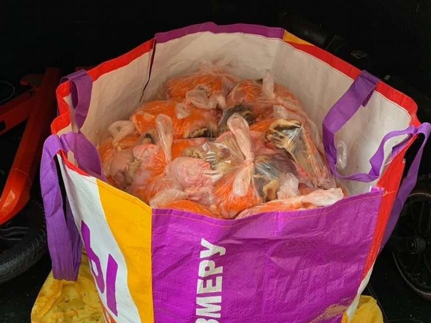 Еда для собак